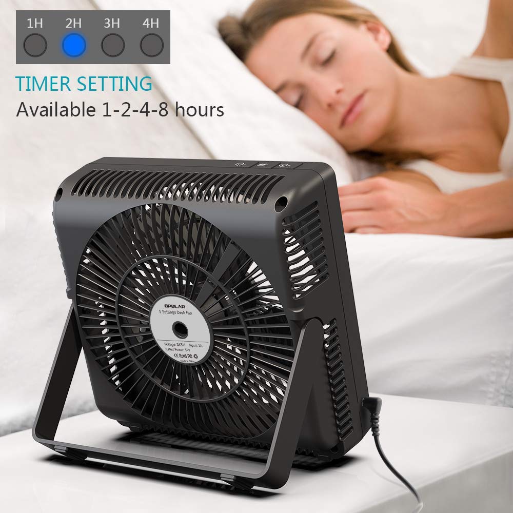 8 Inch Desk Fan with Timer, USB Operated, 5 Speeds... – Grandado