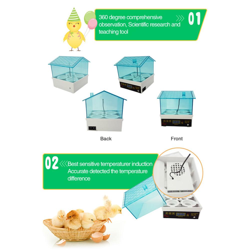 4 Egg Incubator Auto Temperature 15W Mini Egg Hatc... – Grandado