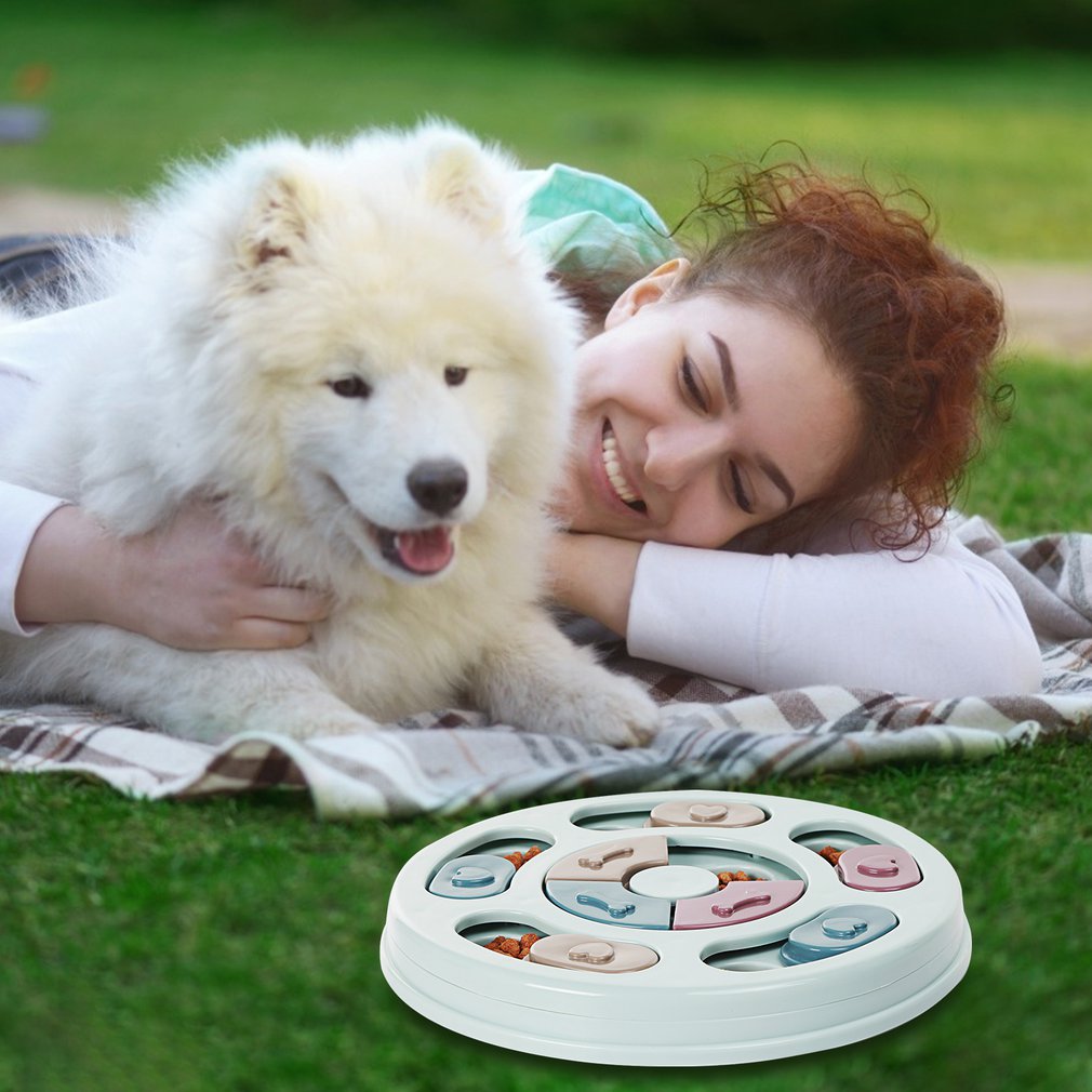 Hond Puzzel Slow Feeder Toy Brain Games Feeder Met... – Grandado