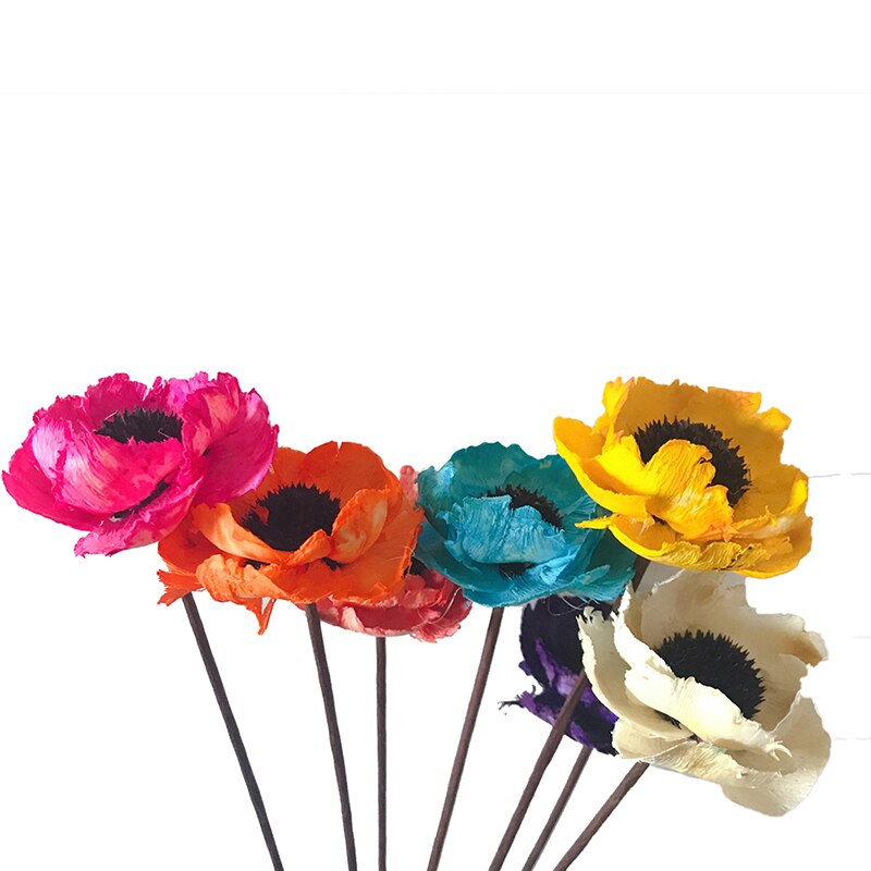 Corn Poppy Dried Flower Plant Dried Flower Europea... – Grandado