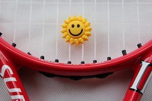 Speical offer 9.9$ Sun Smile Tennis racket Vibrati... – Grandado
