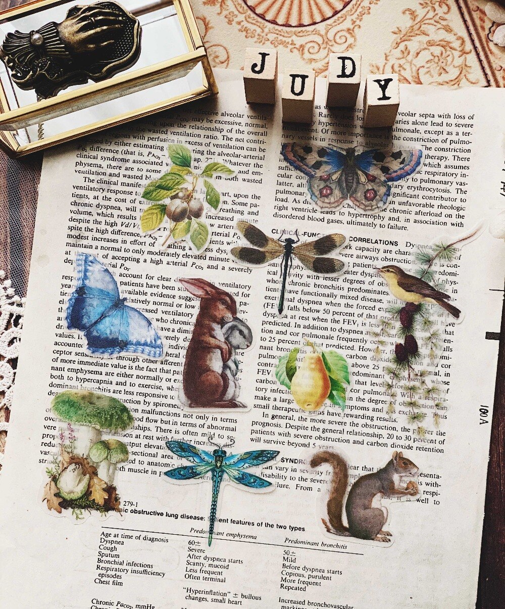 ZFPARTY Beautiful Plants Vellum Paper Stickers for... – Vicedeal