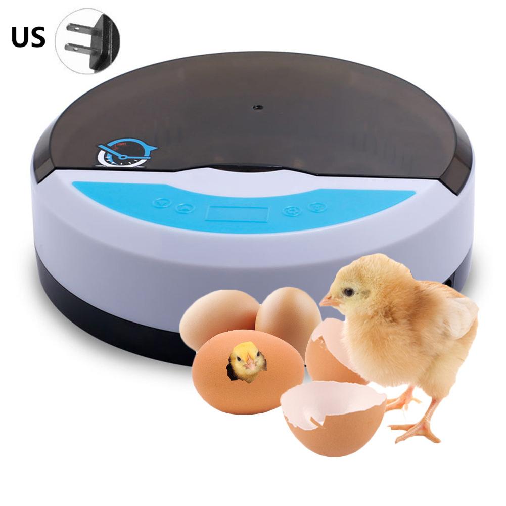 Intelligent Eggs Incubator Hatcher Automatic Digit... – Grandado