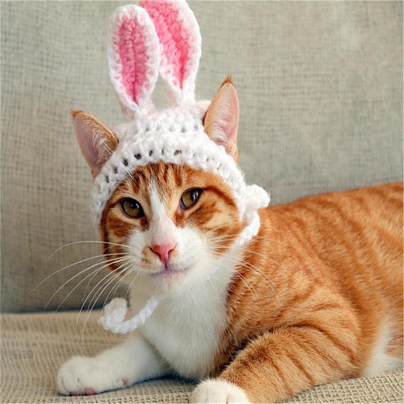 Easter Cat Hat Cute Cartoon Rabbit Ear Costume Hat... – Grandado