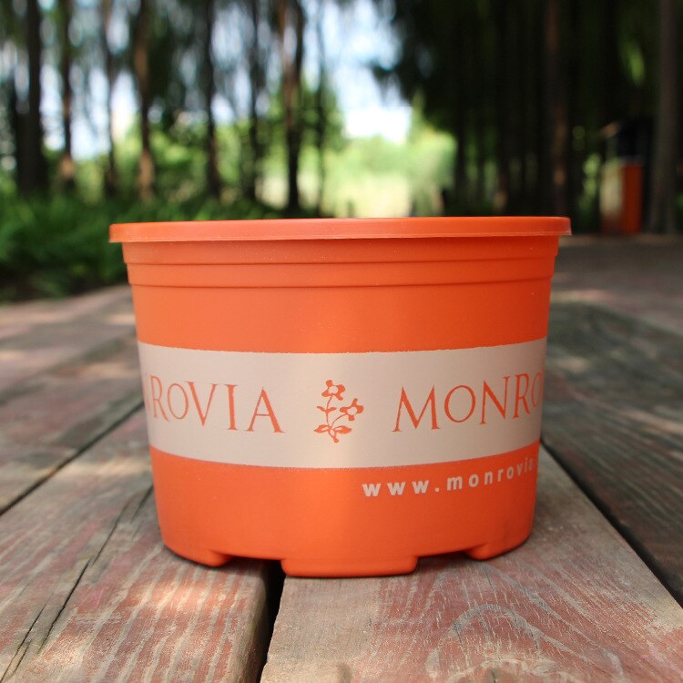 Resin Plastic Large Flower Pot Balcony Succulent G... – Grandado