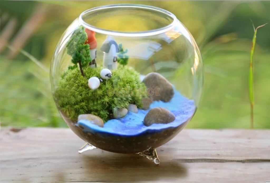 2 Pieces Glass Hydroponic Vase Micro Landscape DIY... – Grandado