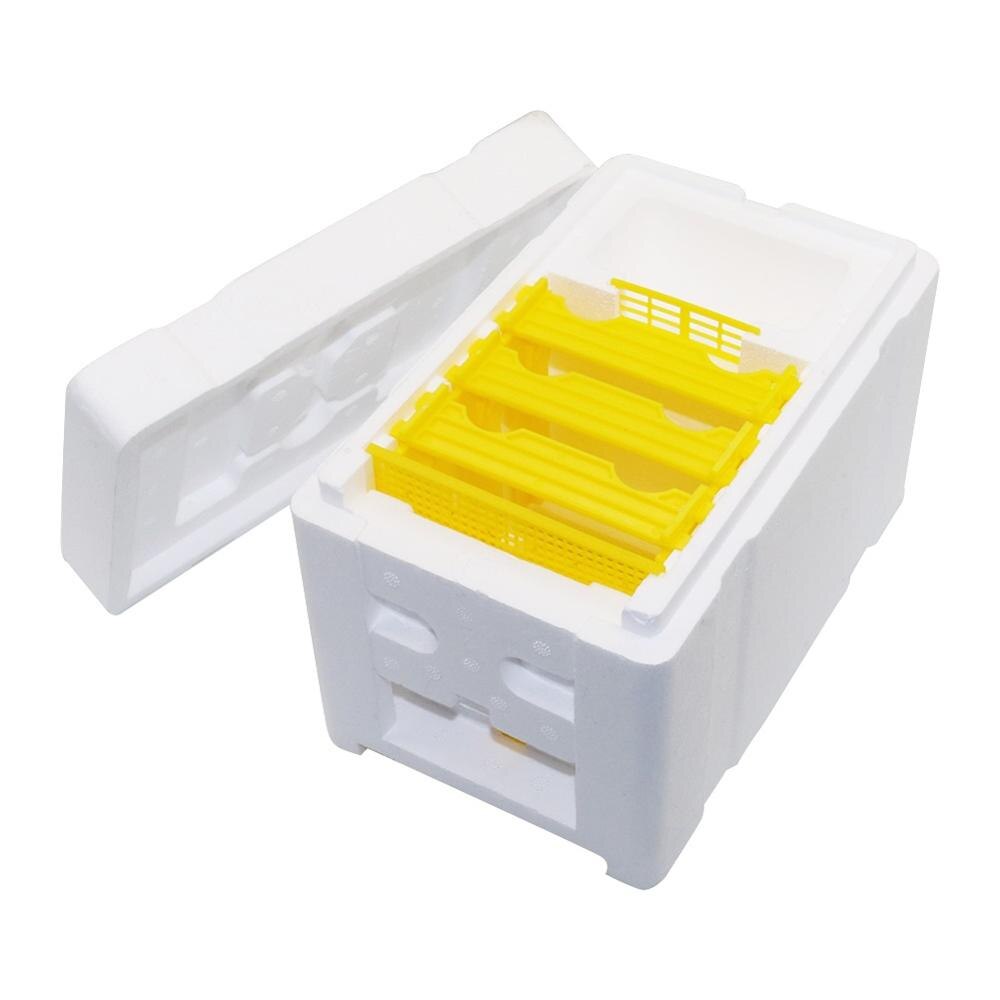 Caja de colmena para la colmena de abejas, herrami... – Grandado