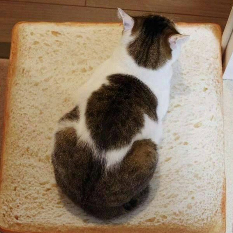 Bread Cats Bed Toast Bread Slice Style Pet Mats Cu... – Grandado