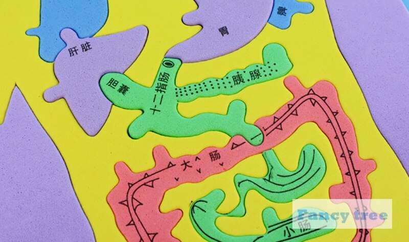 for children 3 years diy kit Various colors foam H... – Grandado