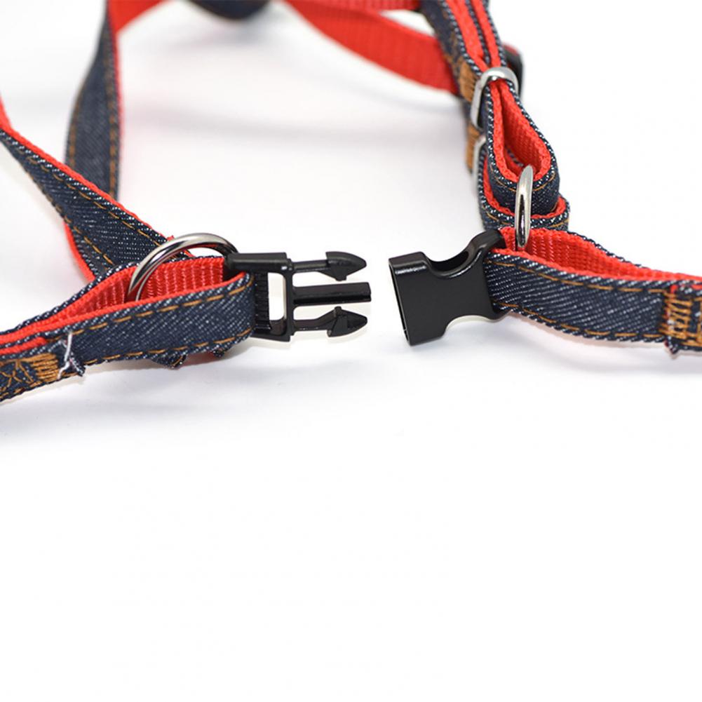 Puppy Harness Chest Straps Collar Accessories For ... – Grandado