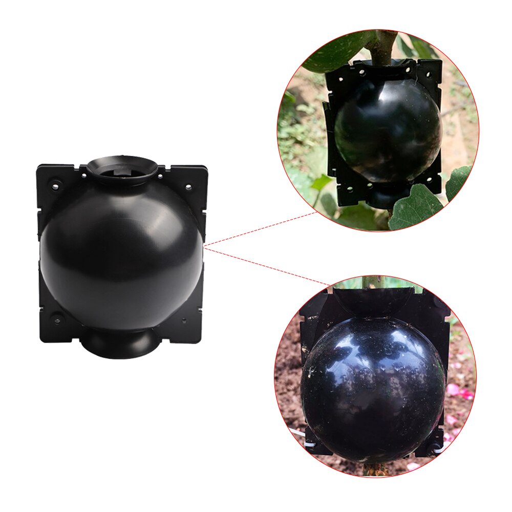 10 Pcs Plant Root Growing Box High Pressure Garden... – Vicedeal