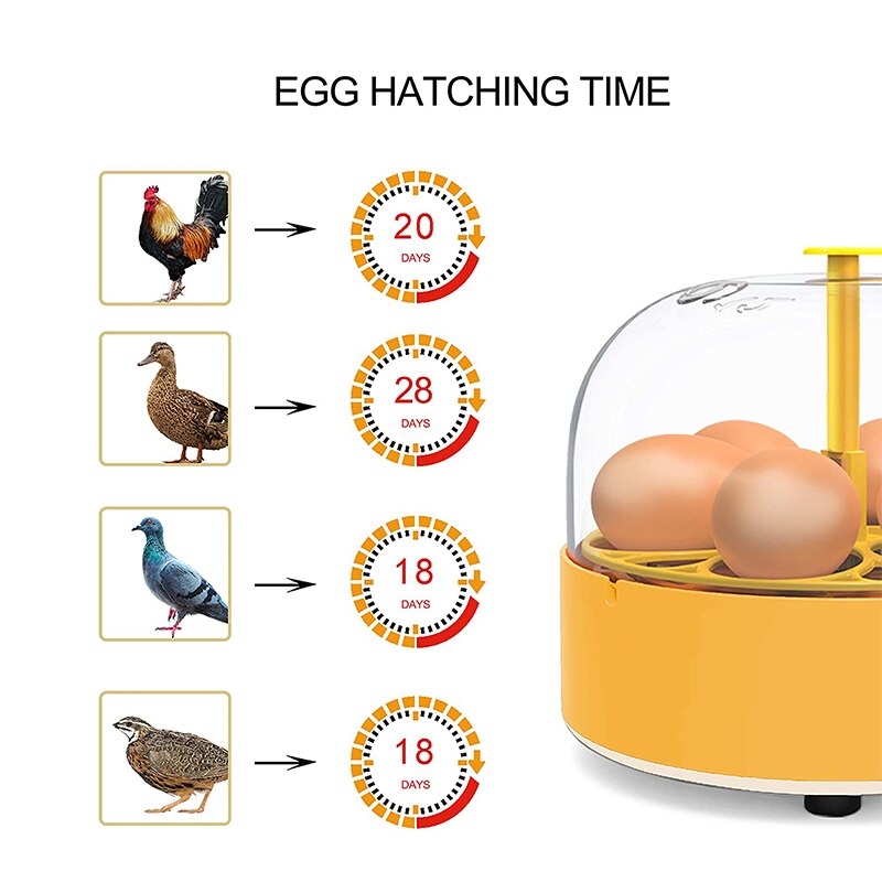 6 Eggs Digital Mini Incubators Poultry Hatching Br... – Grandado