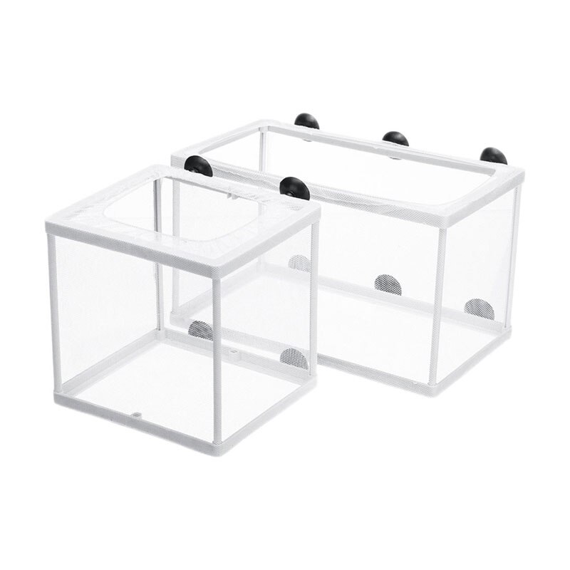 Material Fish Tank Tropical Fish Small Fish Isolat... – Vicedeal