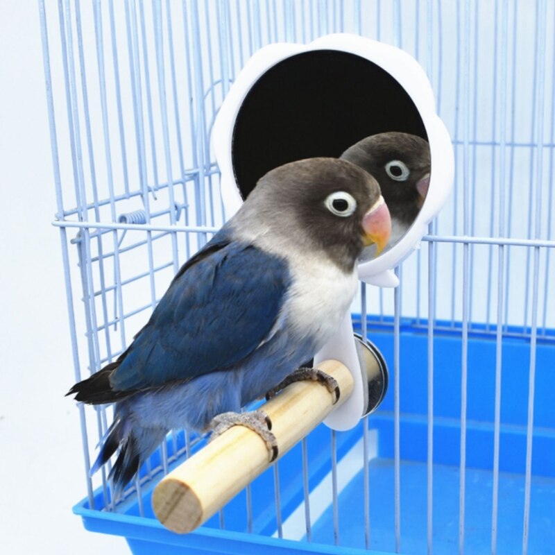 Parrot Perch Triangle Frosted Hen Stand Wood Table... – Grandado