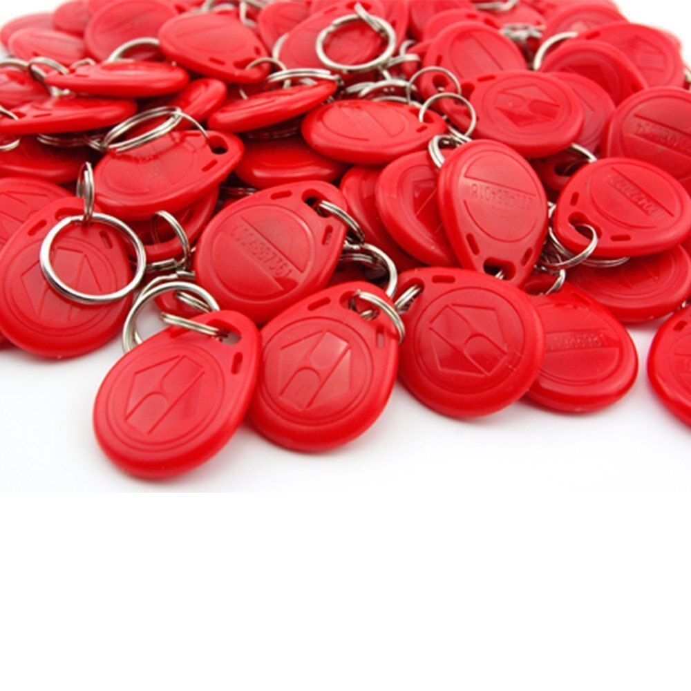 100 stks 125 khz EM4100 Sleutelhangers RFID Proxim... – LovingPrices