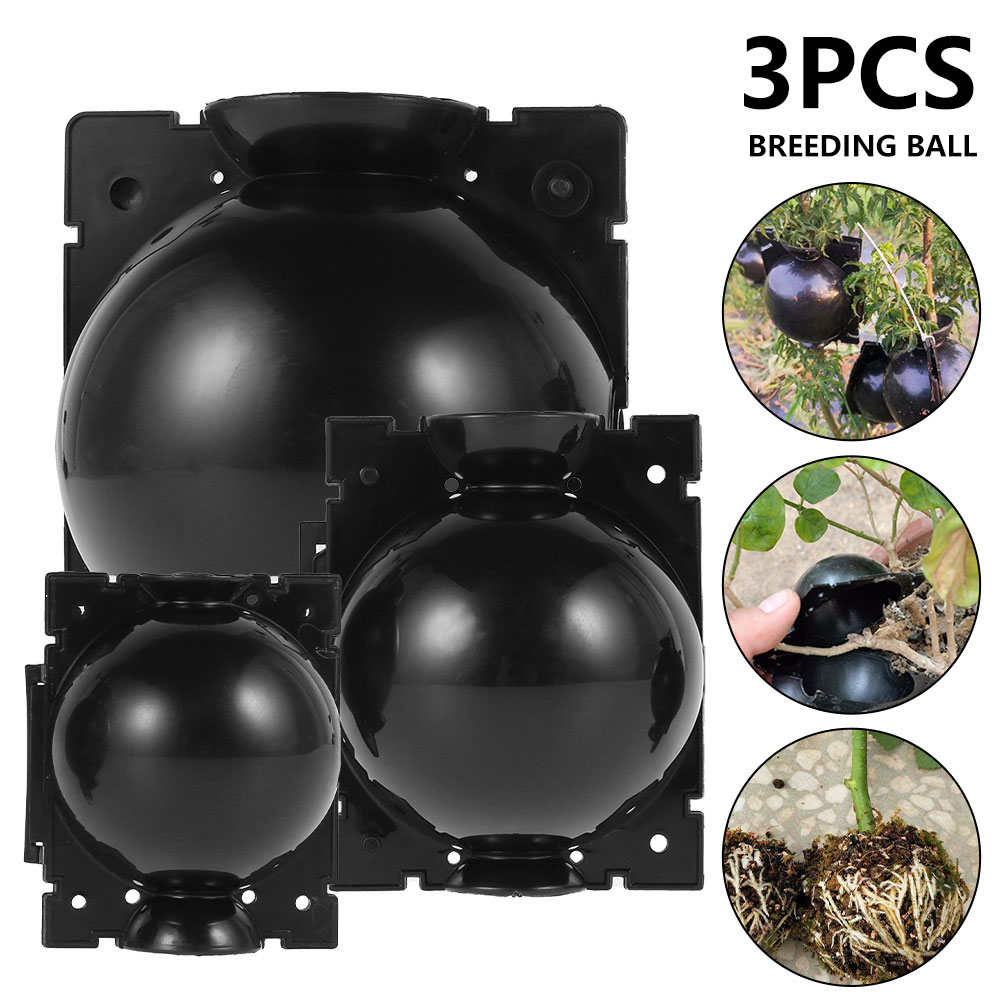 3pcs Plant Rooting Ball Fruit Plant Tree Rooting B... – Grandado