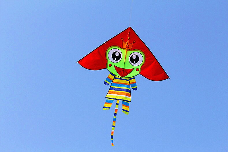 Outdoor Fun Sports 79 inch Frog Kite /Animal Kites... – Grandado