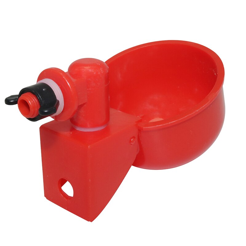 2 Pcs Bird drinking bowl Quail drinking fountain P... – Grandado