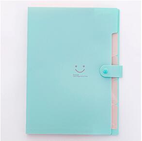 Plastic File Folders Package A4 Multi-layer Folder... – Vicedeal