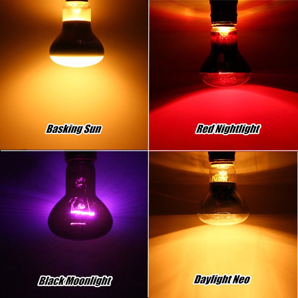 100w uva dag natt amfibie orm lampa värme reptil l... – Grandado