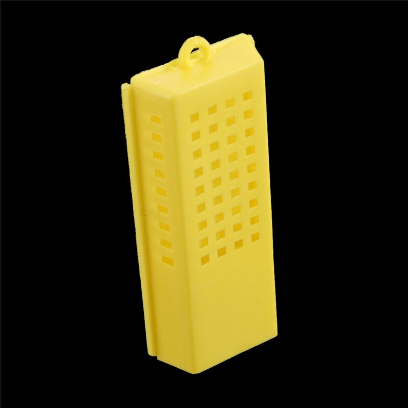 5pcs/10pcs King Prisoner Bees Queen Post Room Cage... – Grandado