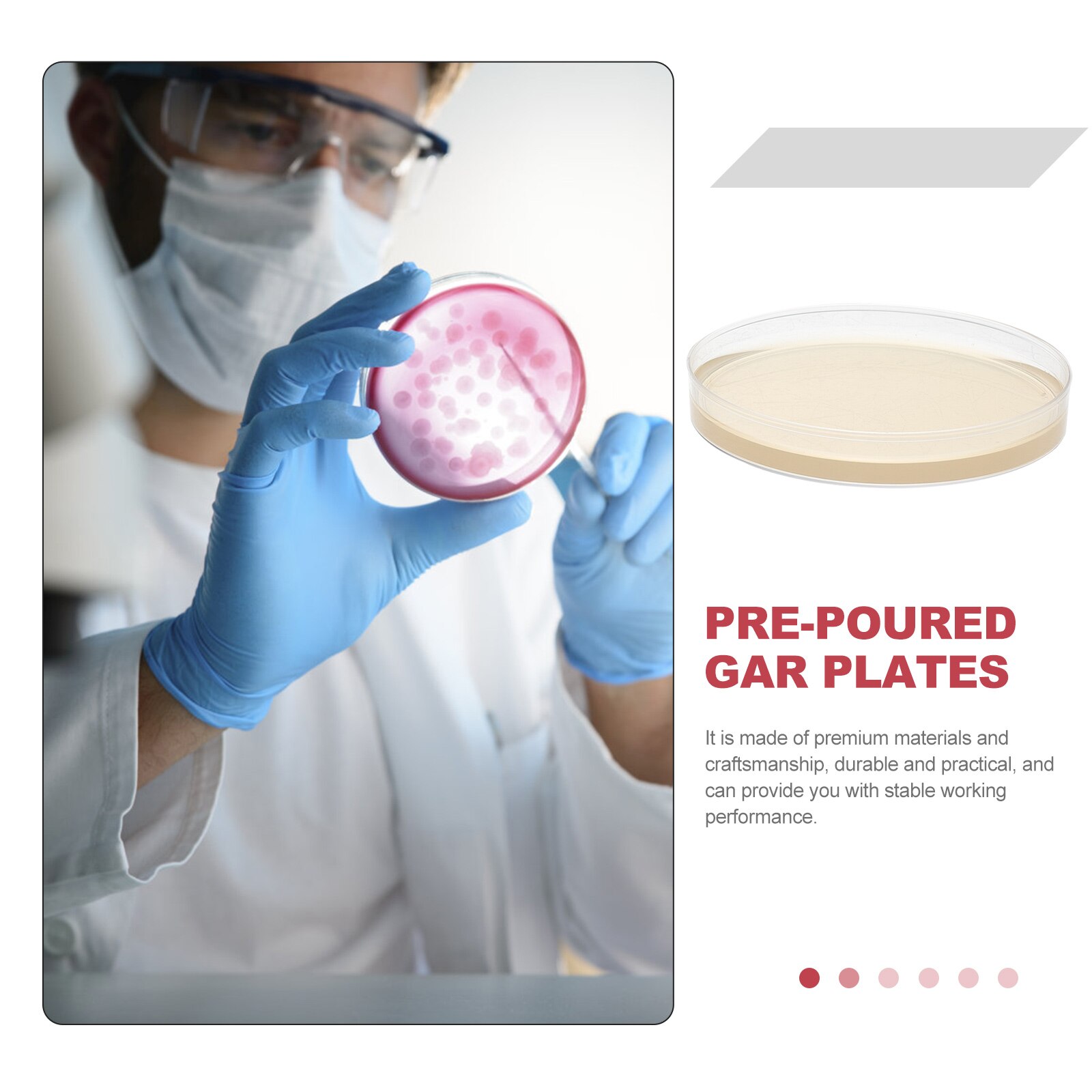 10pcs Pre-Poured Agar Plates Labs Petri Dishes wit... – Grandado