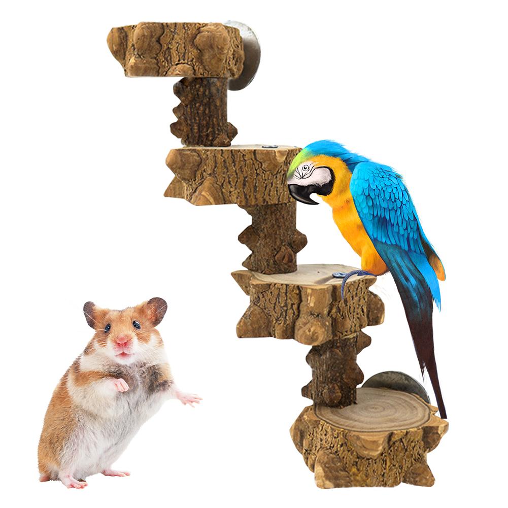 Papegaai Springplank Klimmen Ladder Hamster Houten... – Grandado