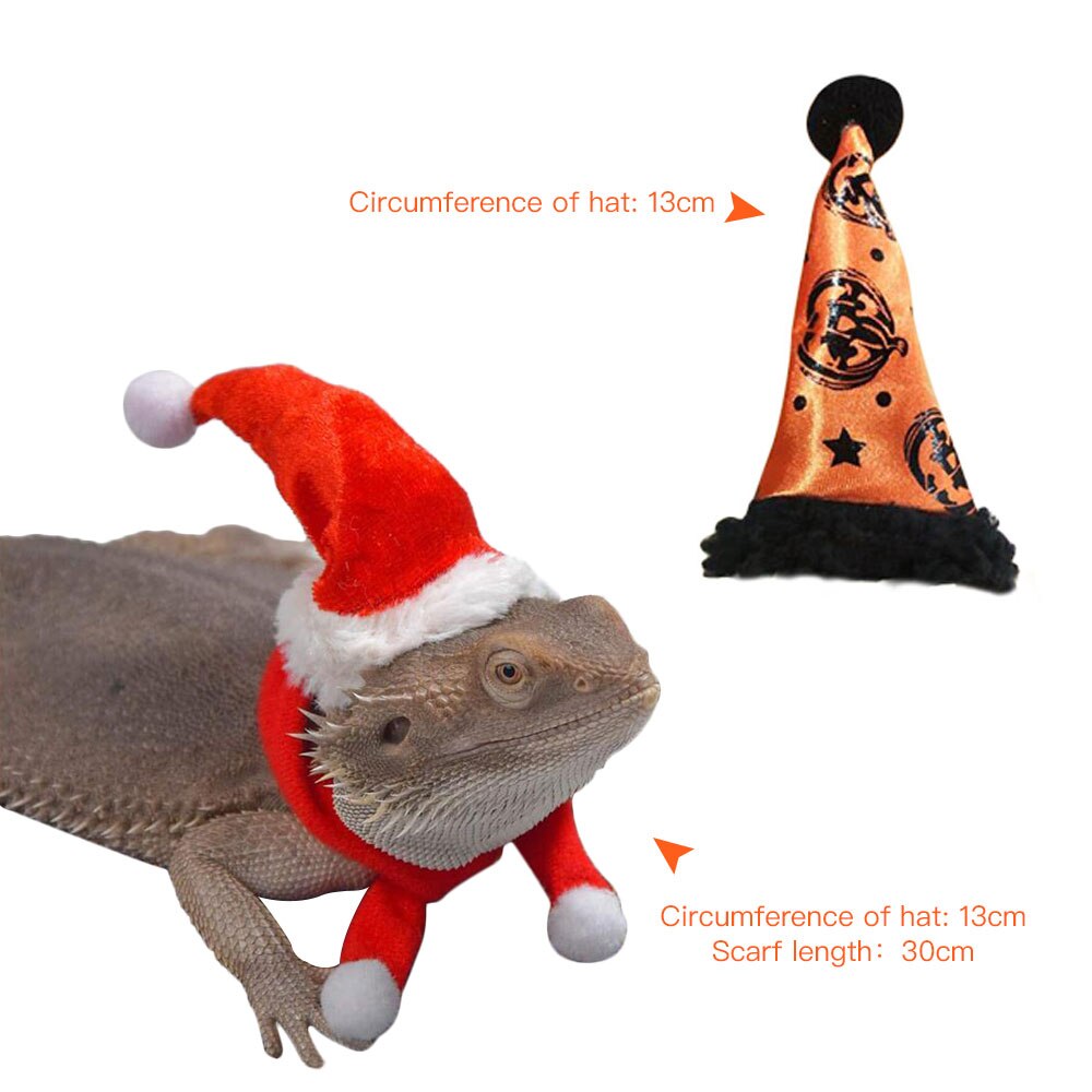 Dragon lizard hamster Santa hat with elastic chin ... – Grandado