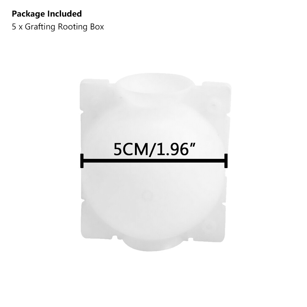 Root Growing Box Breeding Grafting Rooting Box Pre... – Grandado