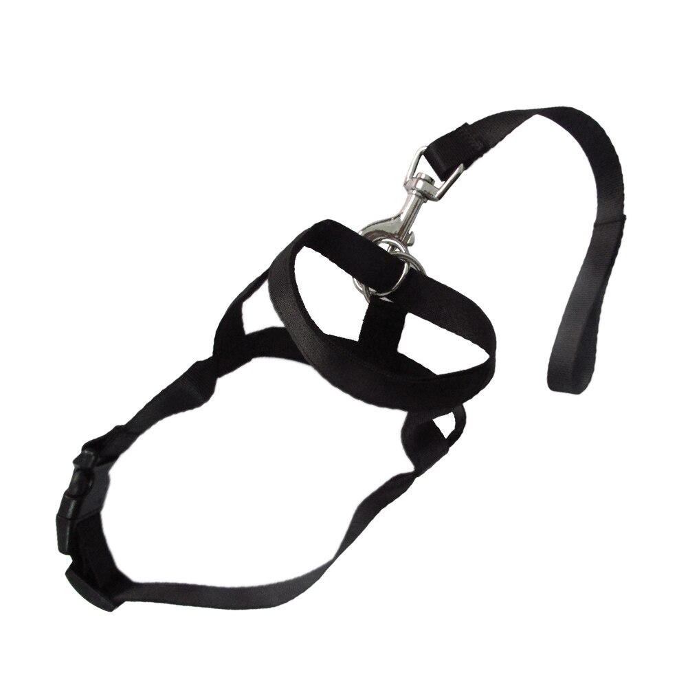 Dog Mouth Muzzle Adjustable Head Collar Walk Train... – Vicedeal