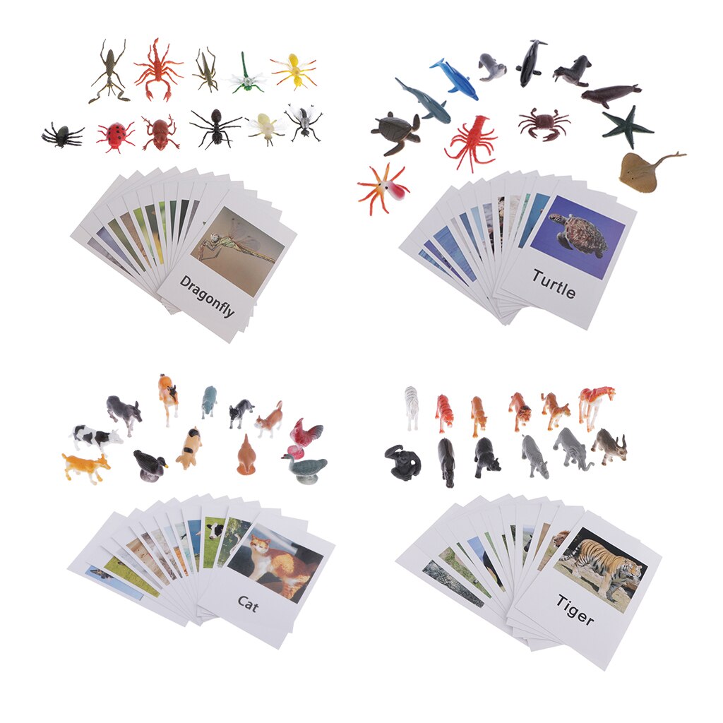48pc Insects Animals Model Card Toy Kids Learning ... – Vicedeal