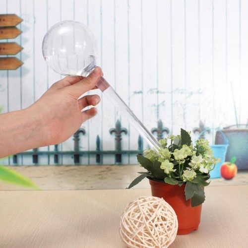 1Pcs Lazy Waterer Aqua Watering Globes Decorative ... – Grandado