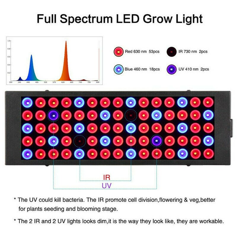 US UK EU Plug ECO 600W LED Grow Light Full Spectru... – Grandado