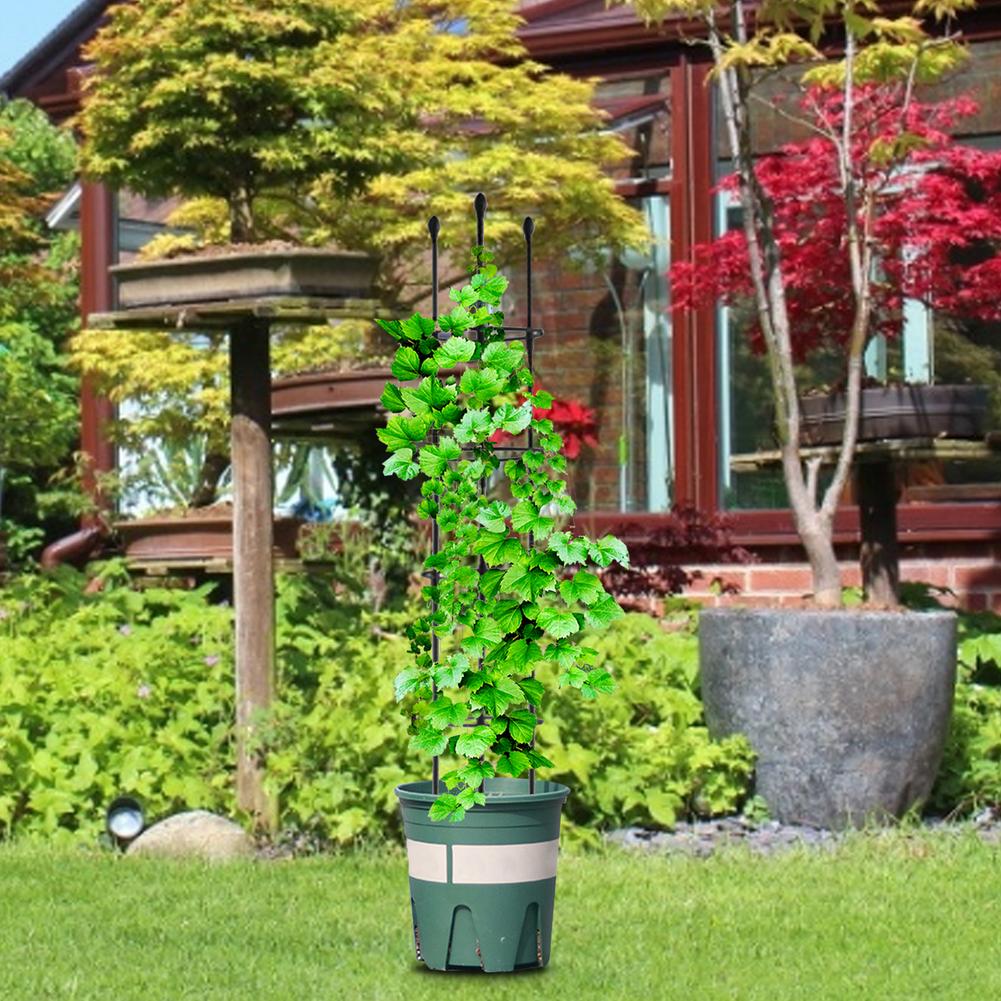 Climbing Plant Trellis Garden Tomato Support Cages... – Grandado
