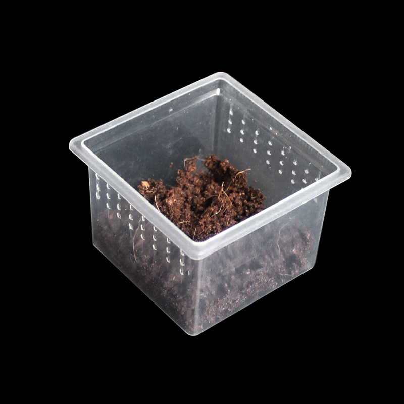 Feeding Box Reptile Cage Hatching Container Rearin... – Grandado