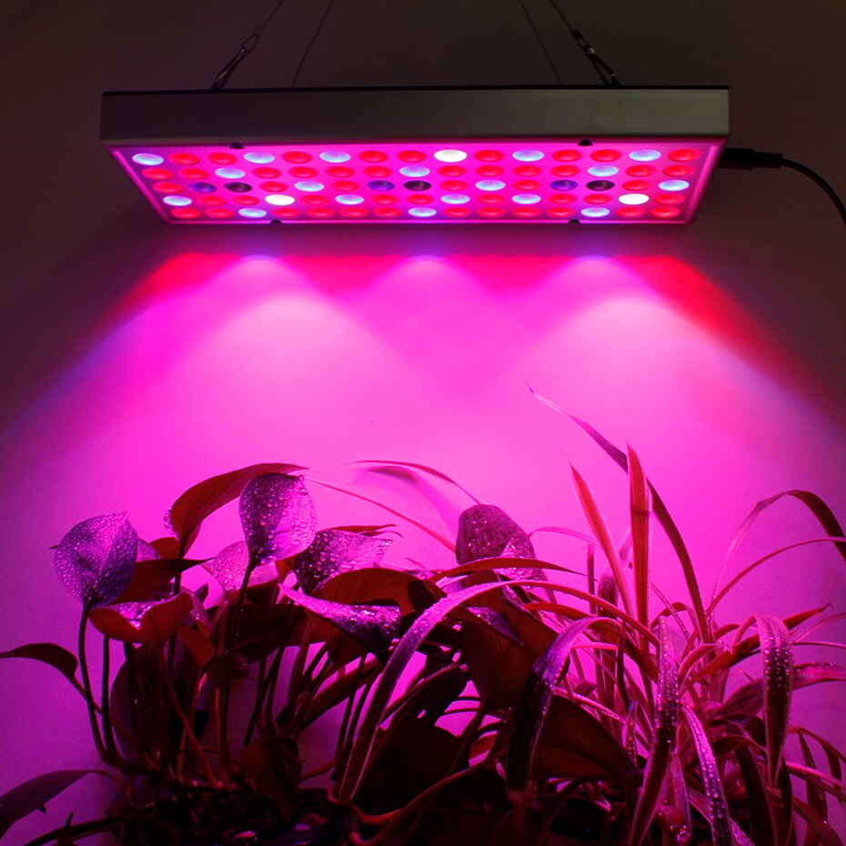 Panel de lámparas de luz Led para cultivo de plant... – Grandado