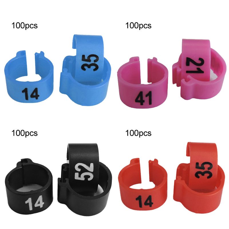 100 Pcs Number Recognition Bird Foot Ring Species ... – Grandado