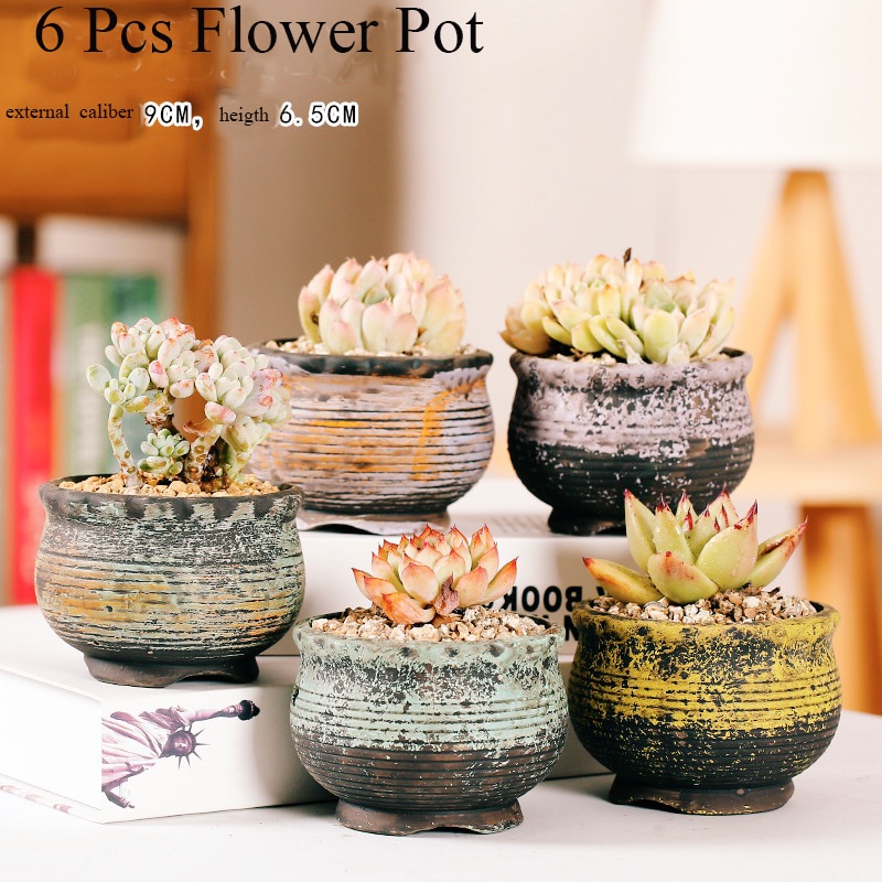 5 Pcs Flower Pot Succulent Cactus Pot Plant Garden... – Grandado