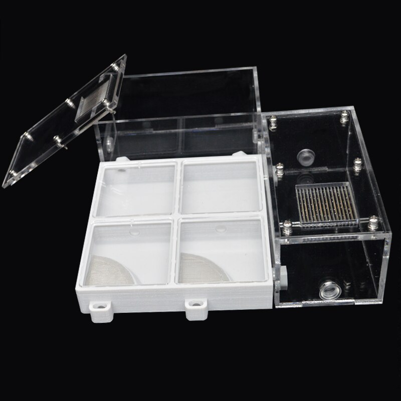 3D Printing Acrylic Flat Ant Farm Ecological Ant N... – Grandado