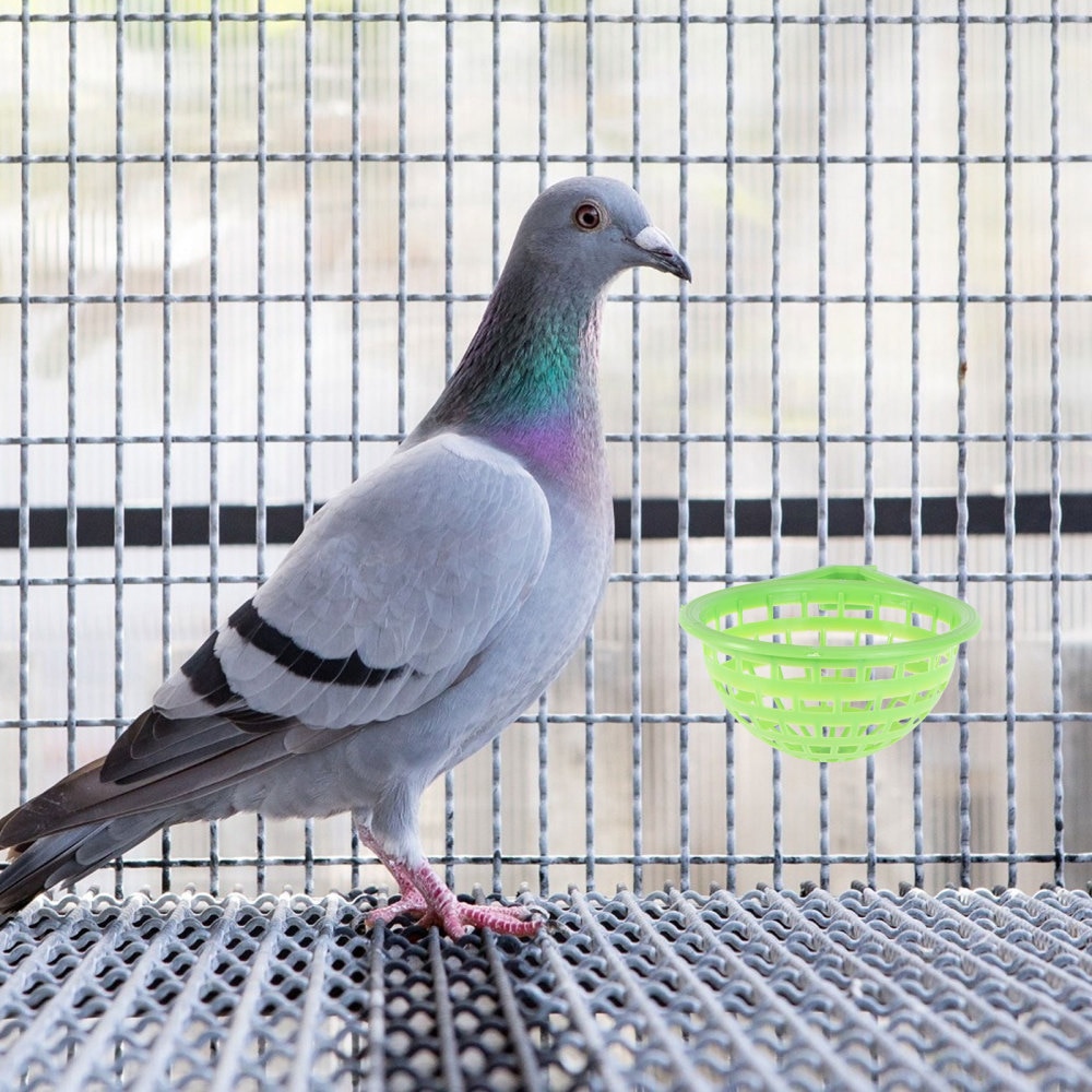 2PCS Bird Nest Basin Practical Homing Pigeon Bird ... – Grandado