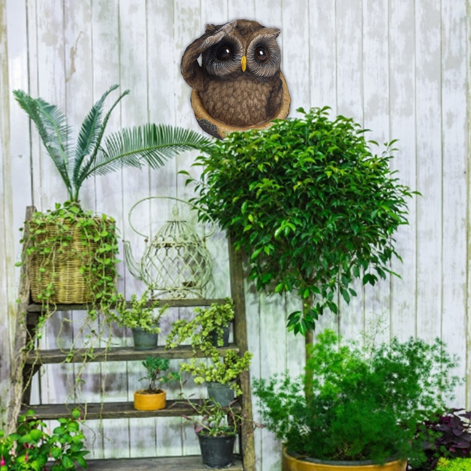 Resin Owl Tree Hugger Garden Peeker Yard Art Whims... – Grandado