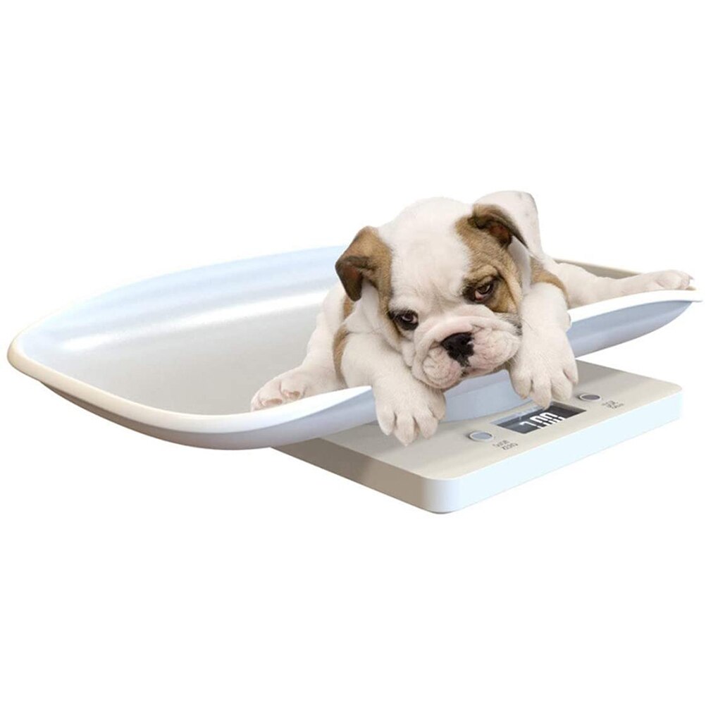 500g Mini Pet Scale Pet Dog Cat Animal Digital Sca... – Vicedeal