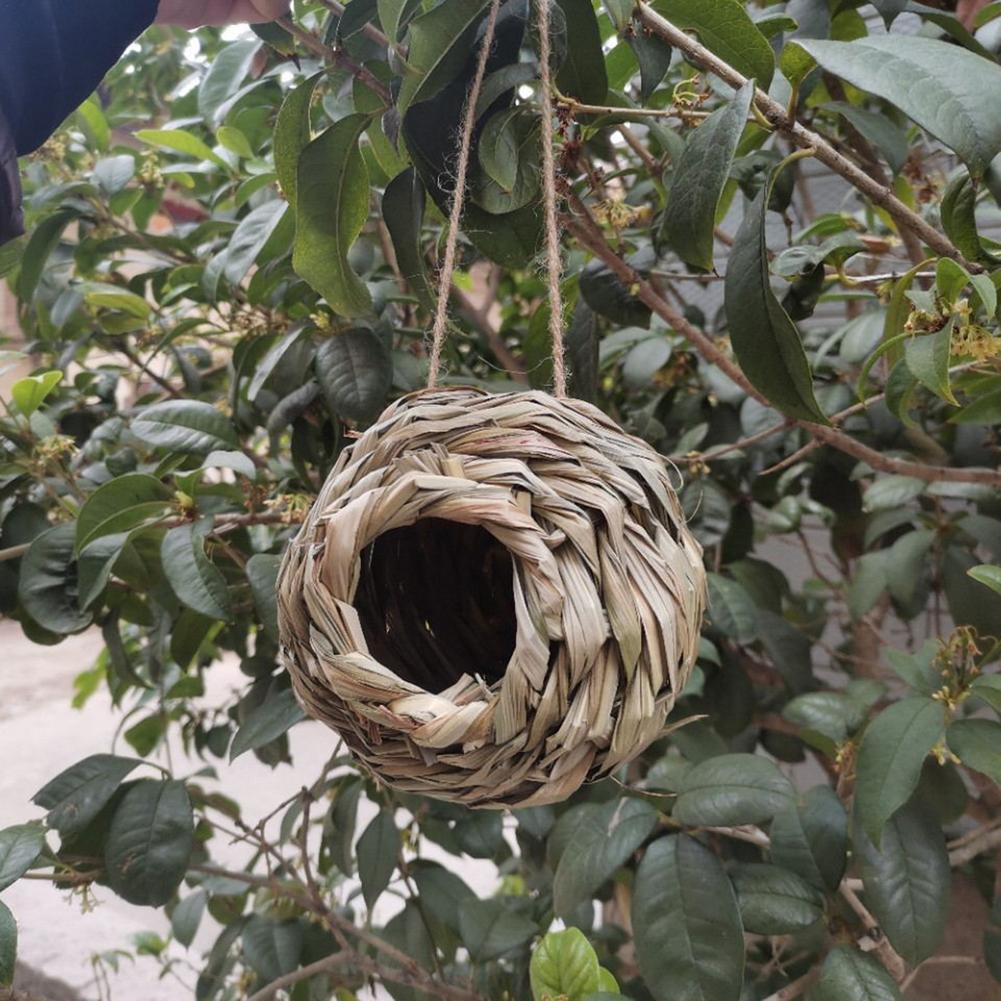 Spherical Bird Nest Hand-woven Safe Natural Materi... – Grandado