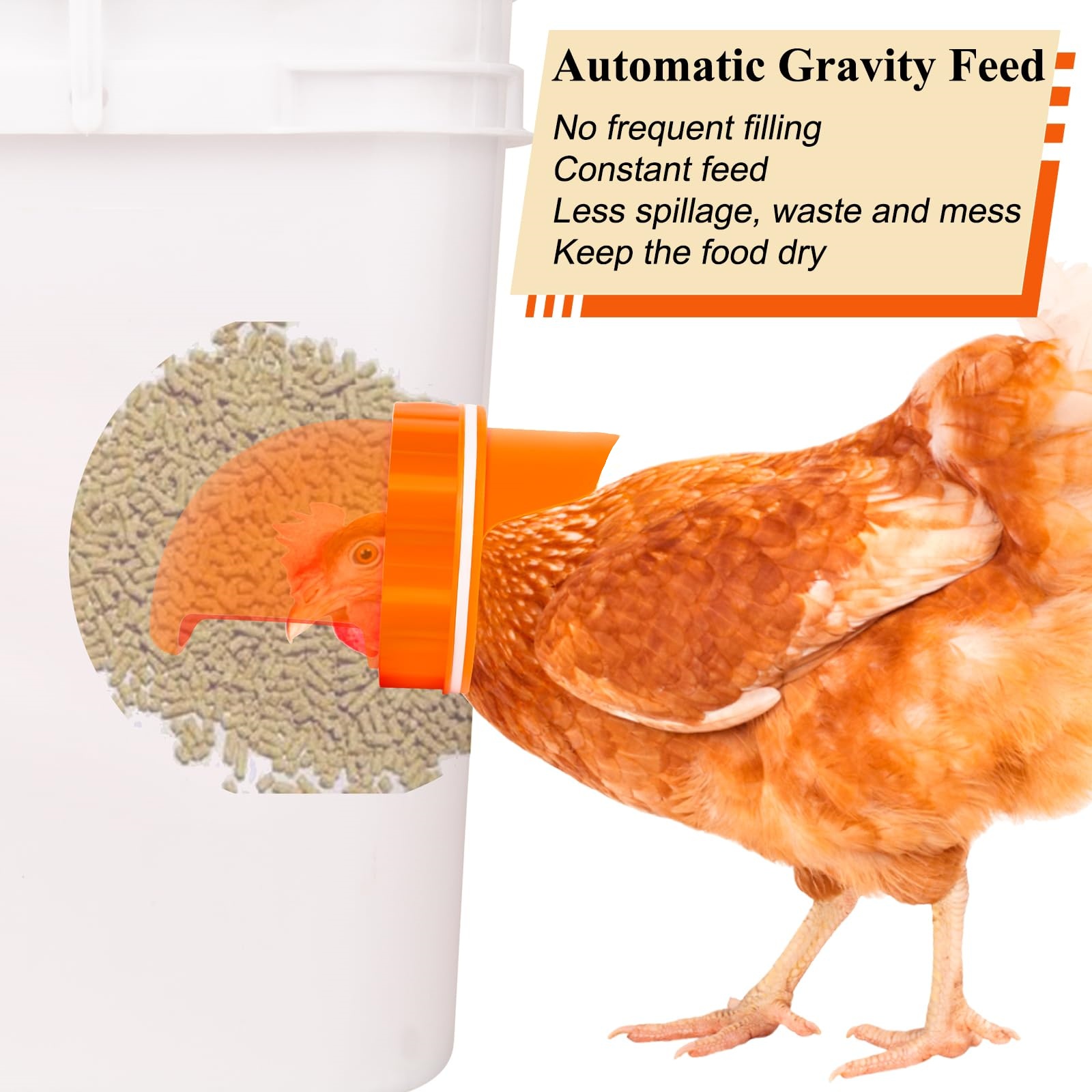 DIY Automatic Chicken Feeder Chicken Feeders No Wa... – Vicedeal