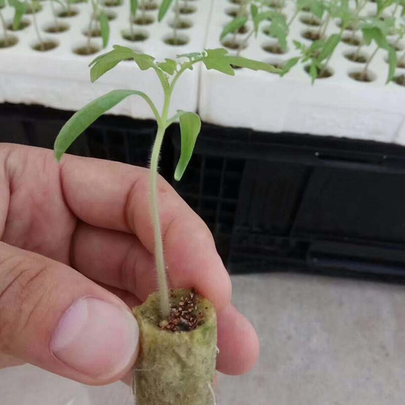 Mini Compress Base Practical Rockwool Cubes Media ... – Grandado