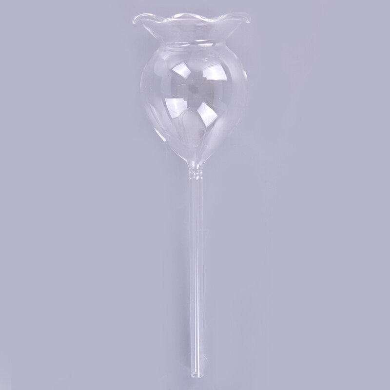 Plant Watering Device House Flowers Water Feeder A... – Grandado