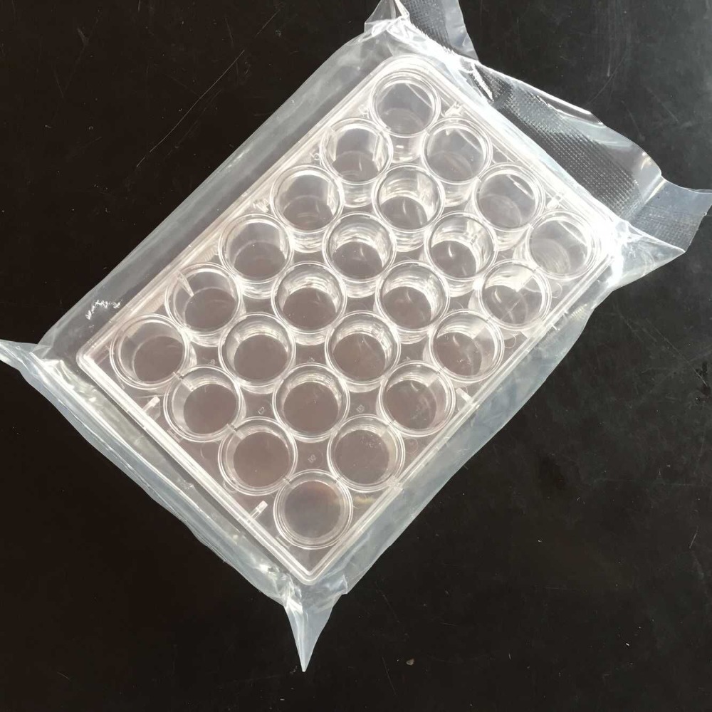 24 holes PS cell culture plate individual package ... – Grandado