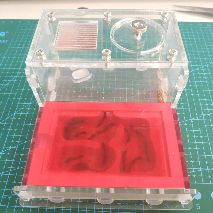 Plaster Ant Farm DIY Toy Acrylic Ant Flat Nest Kid... – Grandado