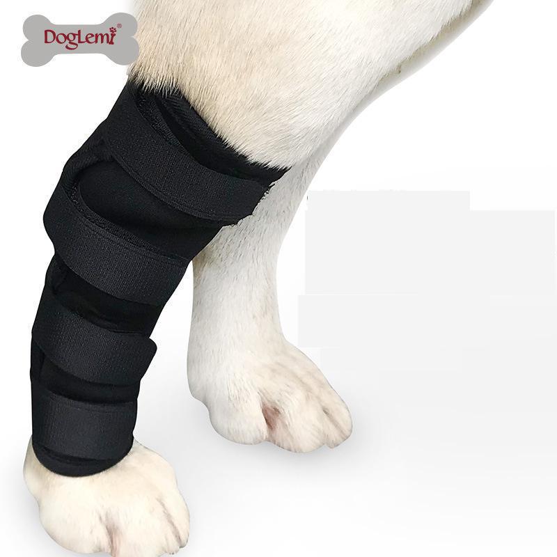 Dog Leggings Cover Pet Leg Injury Anti-licking Art... – Grandado