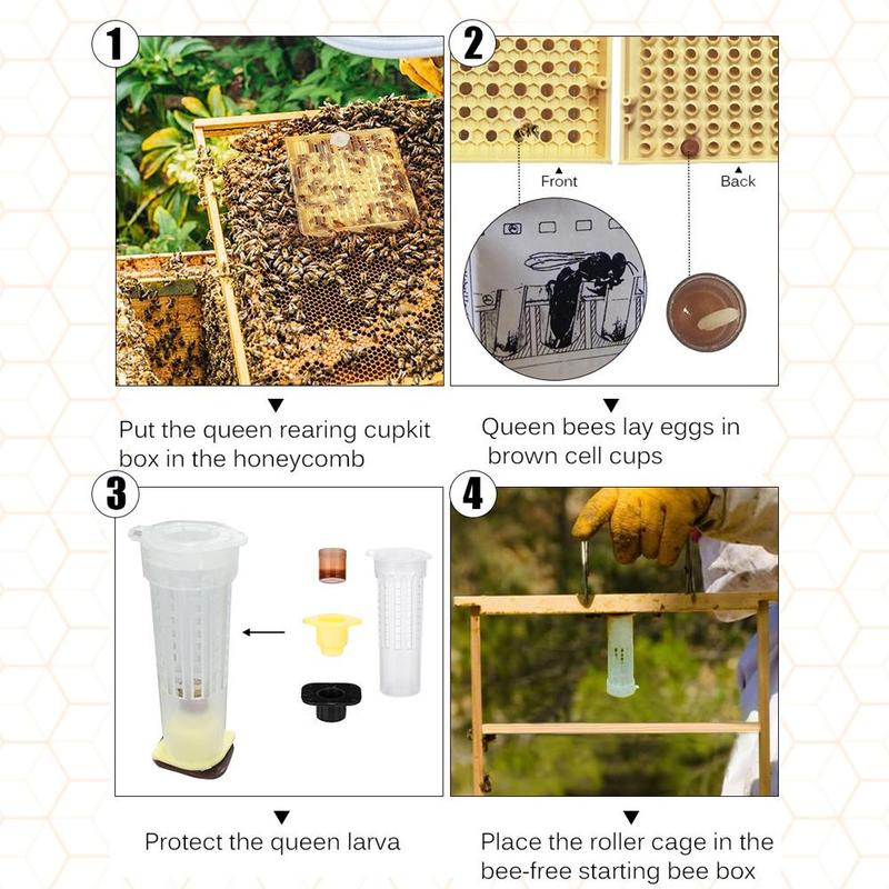 Beekeeping Cupkit 100 Cell Cups Bee Tool Set Queen... – Vicedeal